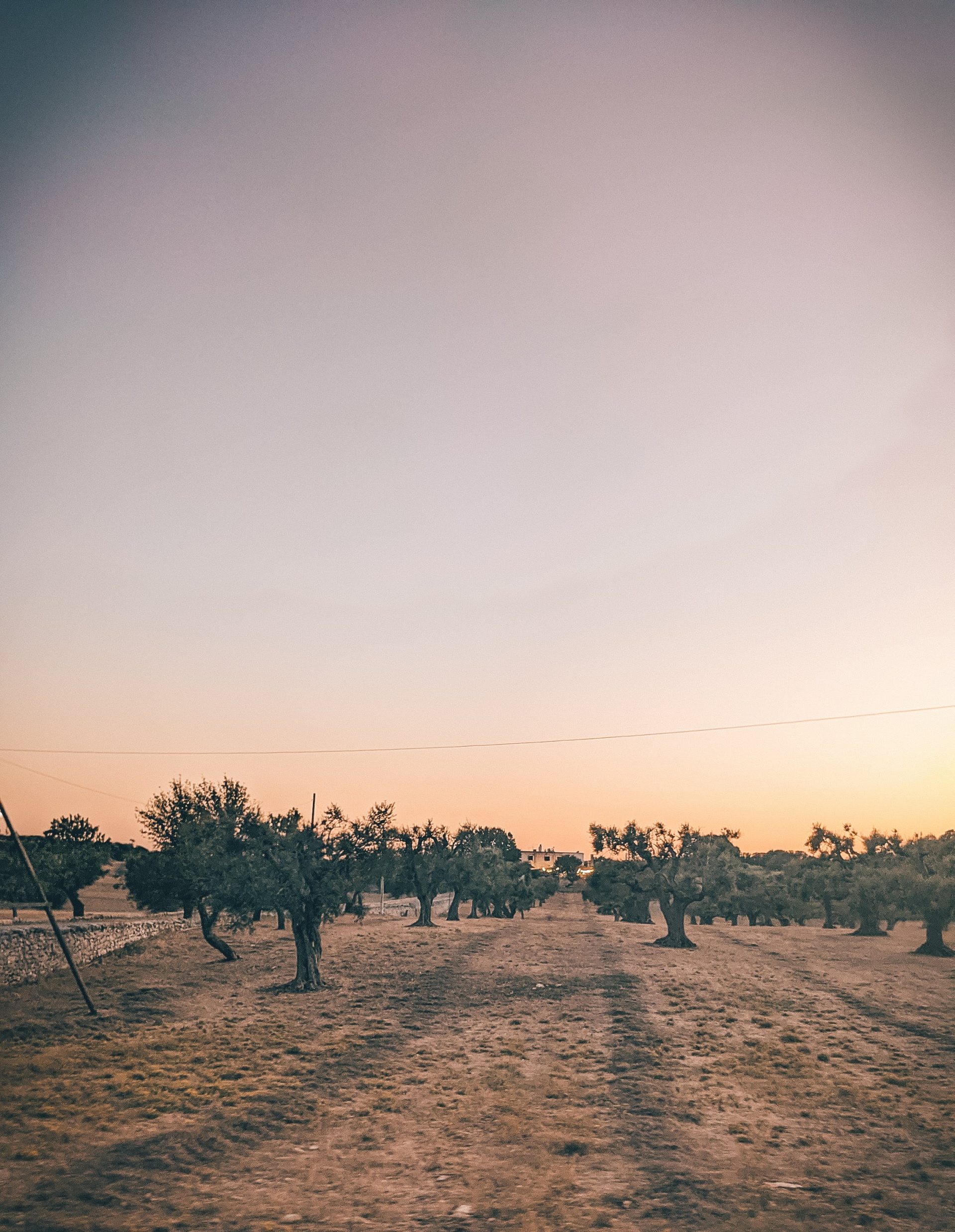 Masseria Lisi Anna, Selva di Fasano – From Bari with Love